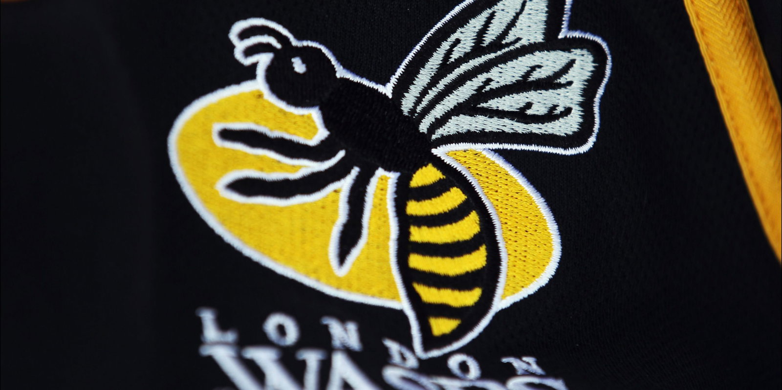 Blues looking to relocate to former Wasps training ground - Blues Focus